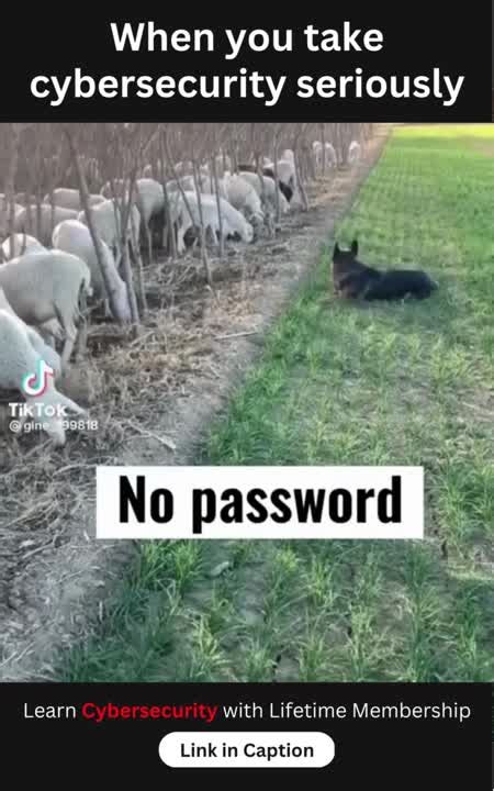 [video] The Cyber Security Hub™ On Linkedin Learncybersecurity Bfseduonix Eduonixcsh