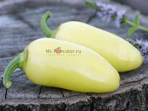 Перец острый Jalapeno Jaloro Сортовые семена Mr Pomidor