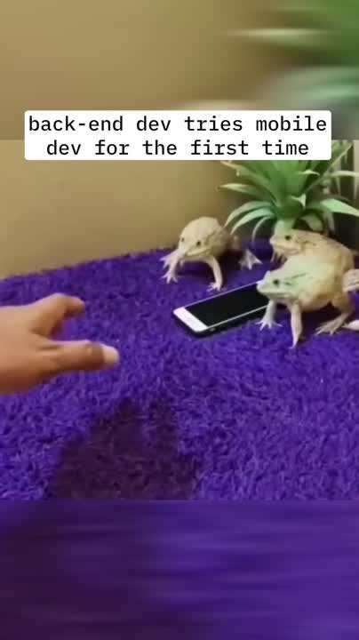 Video Wiregate It Agency On Linkedin Mobiledevelopment Frogs