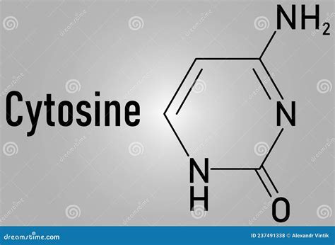 Cytosine C Cyt Nucleobase Chemical Formula And Skeletal Structure