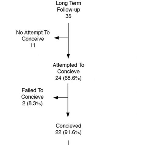 Flowchart Of Csp Patient Management And Treatment Download Scientific Diagram