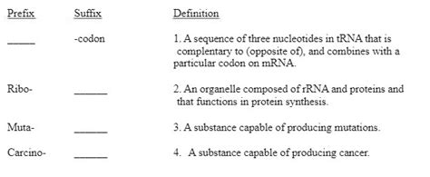 Solved Prefix Suffix Definition Codon 1 A Sequence Of Three