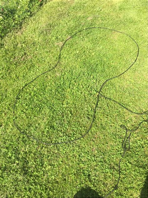 Creating A Wildlife Pond Pond Plant Growers Direct