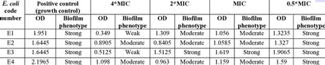 Biofilm Phenotypes And Optical Densities Of Gentamicin Treated
