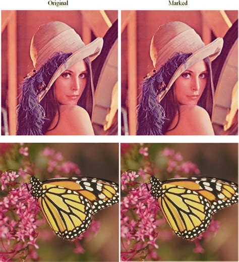 Lena And Monarch Image Original Vs 130000 Embedded Bits Download Scientific Diagram