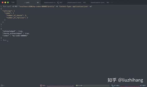 【elasticsearch 技术分享】—— Es 存储一条数据， Put 过程是什么样子的？ 知乎