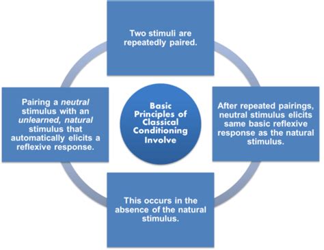 Chapter Midterm Flashcards Quizlet