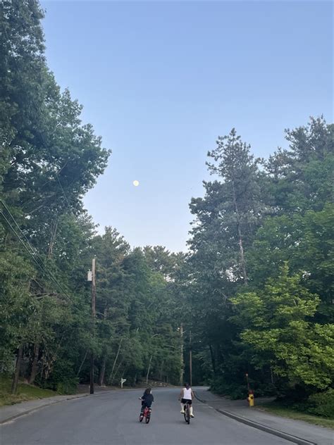 동네에서 자전거 타는 아이들 오마이포토