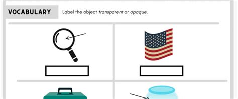 Light And Sound Assessment By Radreadingteacher Tpt
