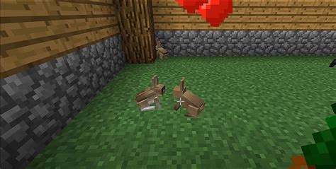 How To Breed Rabbits In Minecraft