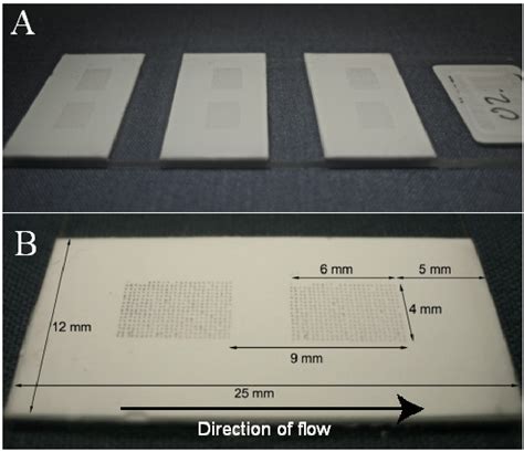 Figure 1 From A Lateral Flow Protein Microarray For Rapid And Sensitive