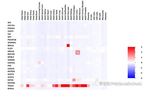 Funrich数据库：一个主要用于基因和蛋白质的功能富集以及相互作用网络分析的独立的软件工具 知乎