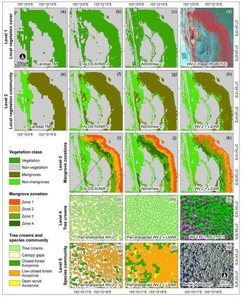 Remote Sensing Special Issue Remote Sensing Of Mangroves Observation And Monitoring