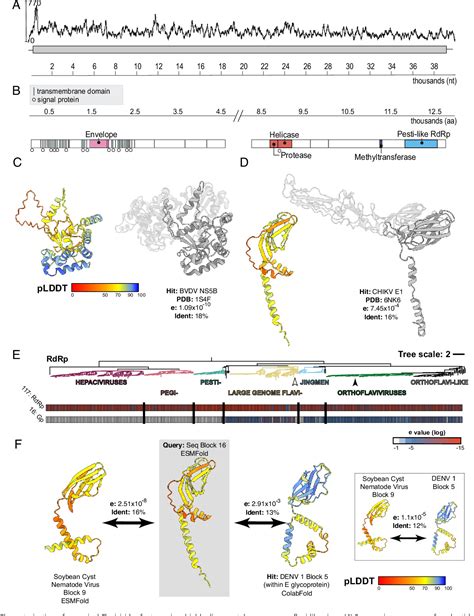 Figure 1 From A ~40 Kb Flavi Like Virus Does Not Encode A Known Error