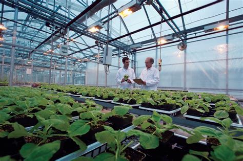 Best Practices For Successful Filter Integrity Testing Using The Water Intrusion Test Wit Method