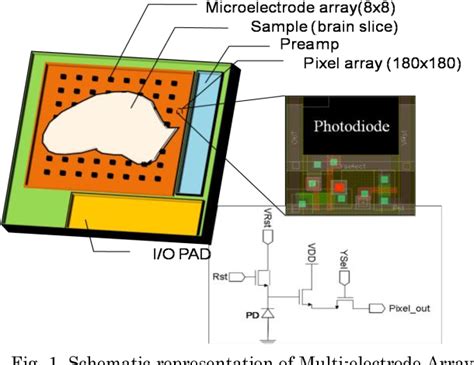 figure 1 from planer multi electrode array coupled cmos image sensor
