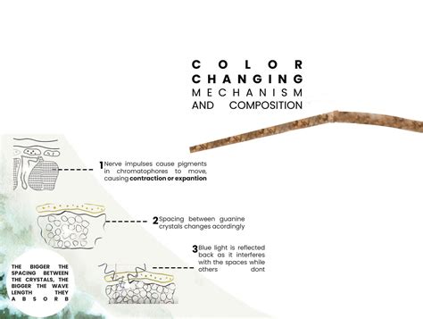 Computation Design Portfolio Lina Naguib By Lina Naguib Issuu