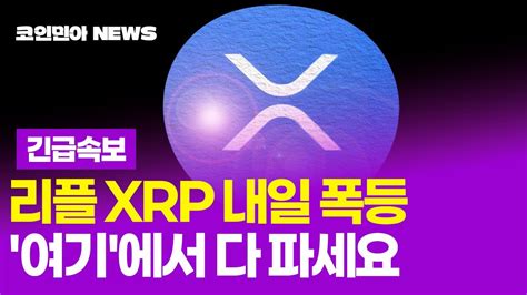 리플 엑스알피 내일 큰거 터진다 이 가격에서 다 파세요 Youtube
