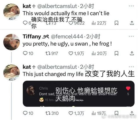 中文式英语火到外网当梗用了！ You Pretty ，he Ugly ，you Swan ，he Frog