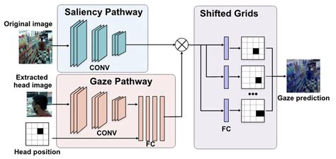 Dual Pathways And Shifted Grid Architecture By Recasens Et Al 5 Download Scientific Diagram Dual Pathways And Shifted Grid Architecture By Recasens Et Al 5 Download Scientific Diagram
