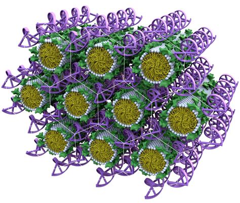 Ibm Uses Dna To Make Next Gen Microchips Syn Thetic