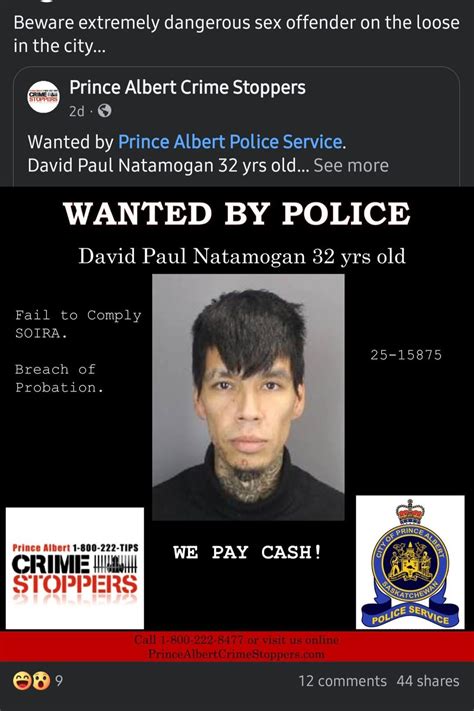 Wtf Prince Albert Facebook