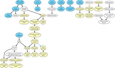 Dag Generated By The Bayesian Network Analysis With Significant Download Scientific Diagram
