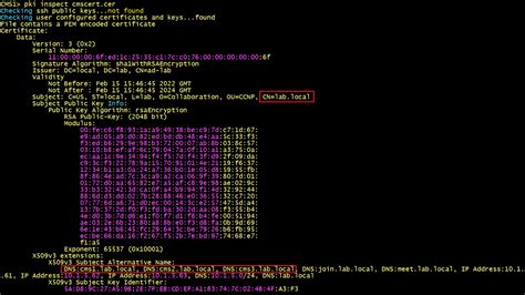 Implementing Cisco Meeting Server Resilient And Scalable All Services Cisco Community