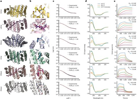 Nature 从头设计具有超螺旋匹配的模块化肽结合蛋白质 知乎