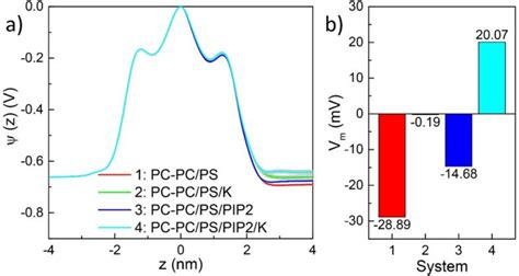 Effects Of Membrane Asymmetry On Electrostatic Potential Profiles í Download Scientific