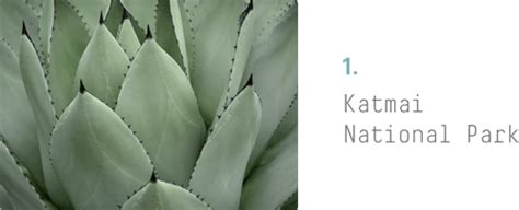 Website Interactions And Animations Webflow