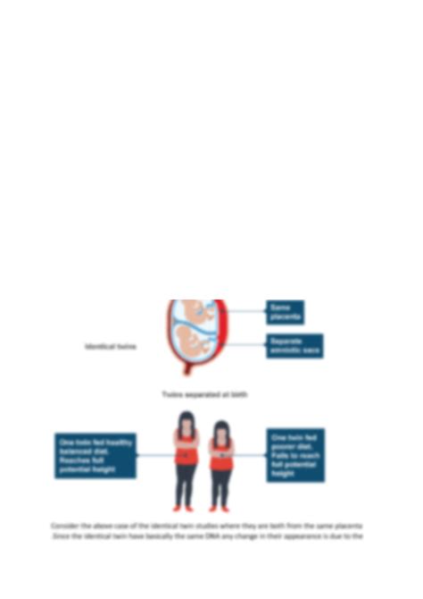 Environment Effect On Phenotype At Jill Ford Blog