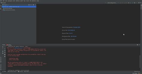 Debugging ROS