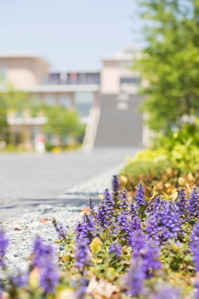 Fwu International Inbound Fwu International Inbound