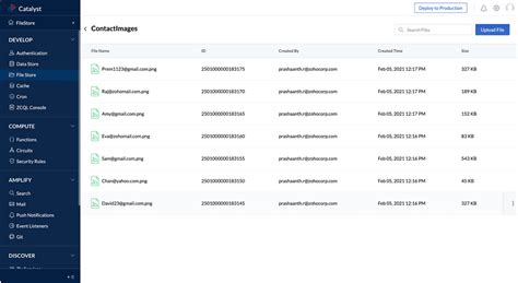 Catalyst File Store File Storage For Serverless Applications