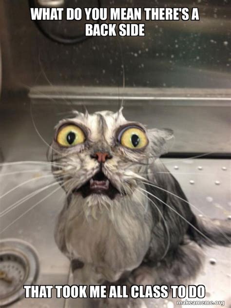 What Do You Mean Theres A Back Side That Took Me All Class To Do Cat