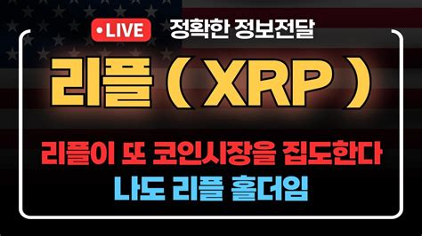리플 리플이 또 다시 코인시장을 집도한다 나도 리플 홀더 Youtube