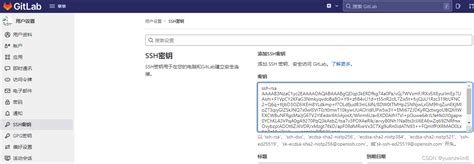 linux系统使用宝塔来搭建内部gitlab教程 宝塔安装gitlab csdn博客