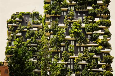 Sustainable Architecture Everything You Need To Know