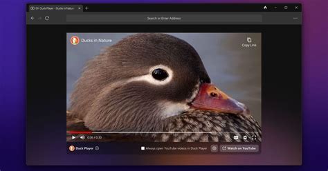 Duckduckgos Privacy Focused Browser Is Now Available For Windows Users