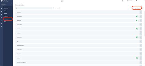 Pingidentity Saml Integration Guide Docs