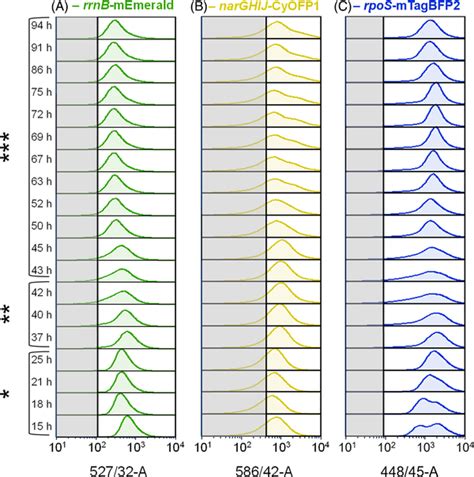 Fluorescence Distributions As Cell Count Against Fluorescence Intensity Download Scientific