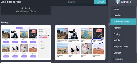 Reduce Font Size Mobirise Forums