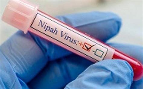 Nipah Virus Case Confirmed In Keralas Malappuram District Nipah Virus Case Confirmed In Keralas Malappuram District