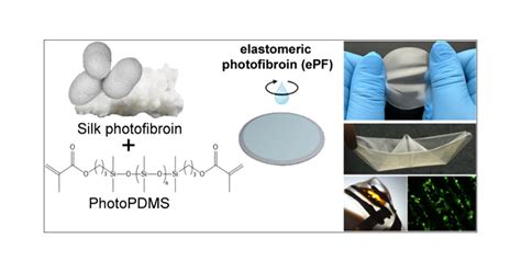 Degradable Elastomeric Silk Biomaterial For Flexible Bioelectronics Acs Applied Bio Materials