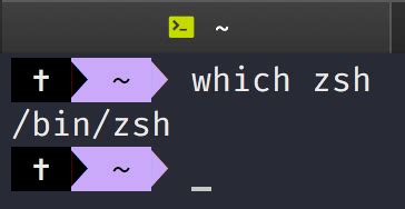 Ubuntu Zsh And Vscode Default Shells Stack Overflow