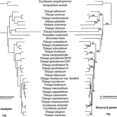 Comparison Of The Maximum Likelihood Tree Left 1a And The Download Scientific Diagram
