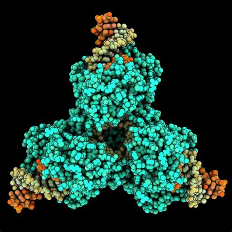 Cre Recombinase Dna Complex Photograph By Laguna Design Science Photo Library