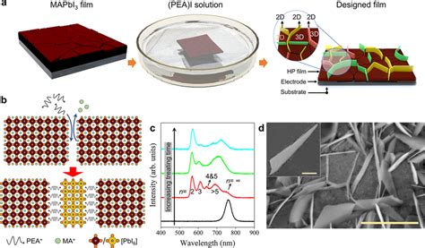 Isolating 3d Hp Grains By 2d Hp Platelets A Schematic Diagram Of The