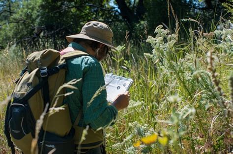 Conducting Plant Biodiversity Surveys Ar Generative Ai Premium Ai Generated Image
